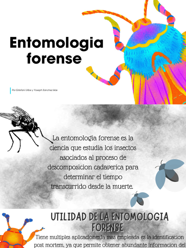 Entomologia Forense | PDF