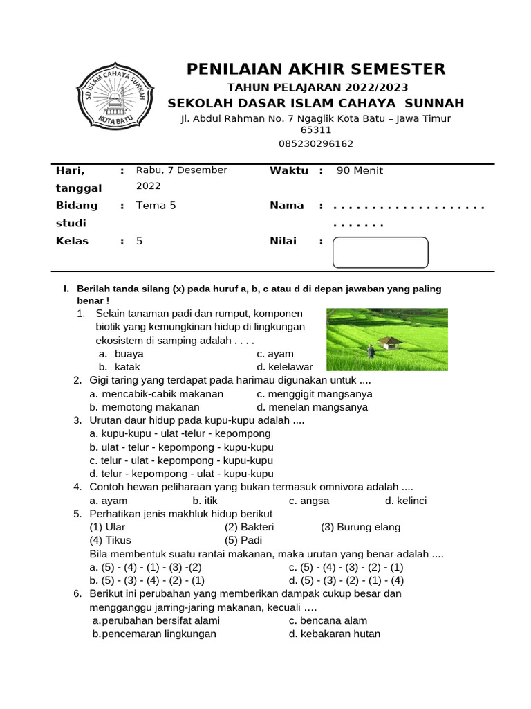 PAS Tema 5 Kls 5 | PDF