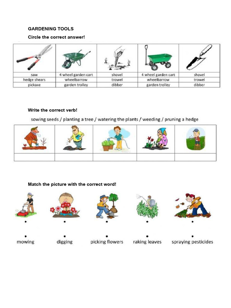 Worksheet Gardening Tools | PDF