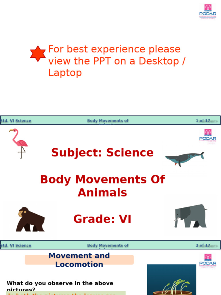 1 CB VI Sci Body Movements of Animals | PDF