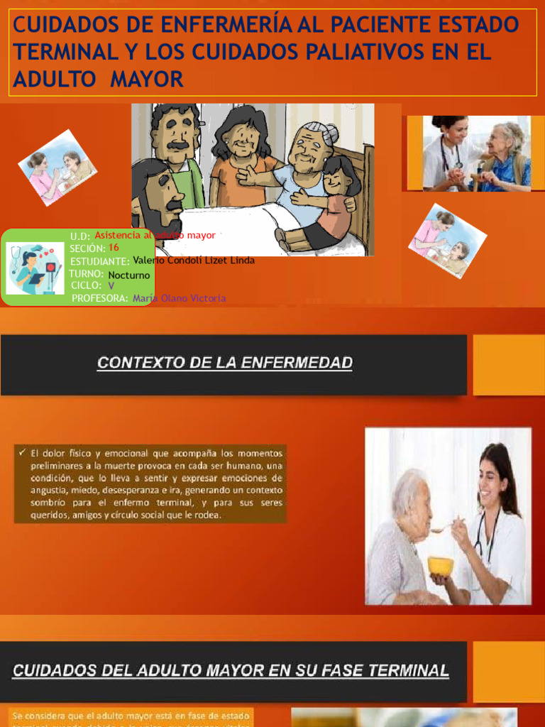Asistencia Al Adulto Mayor | PDF