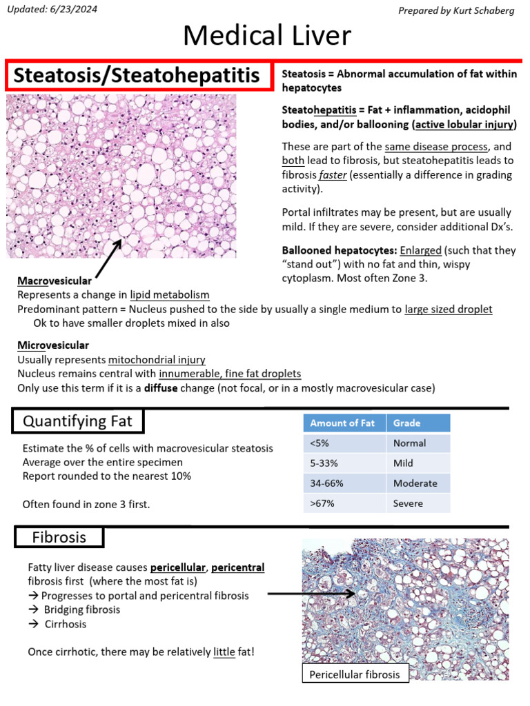 Medical Liver Advanced | PDF | Liver | Cirrhosis