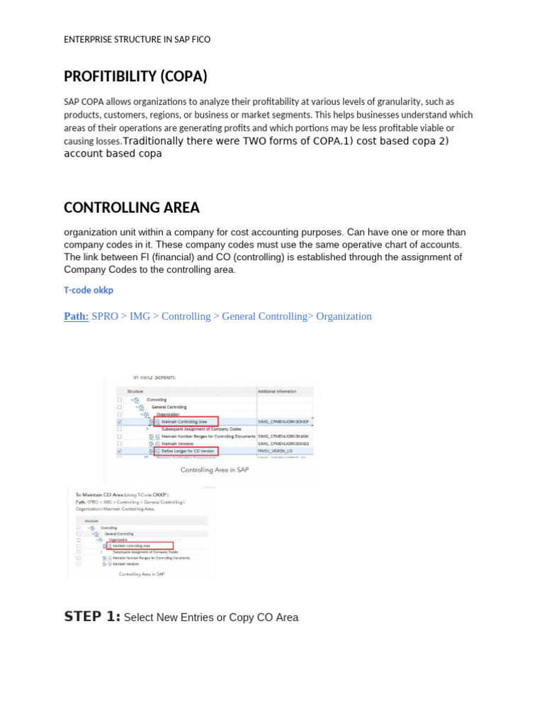 Enterprise Structure Sap Finance & Controlling | PDF | Business ...
