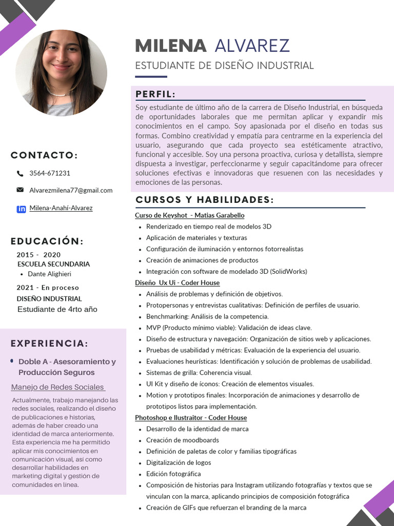 CV Alvarez Milena | PDF | Diseño | Usabilidad