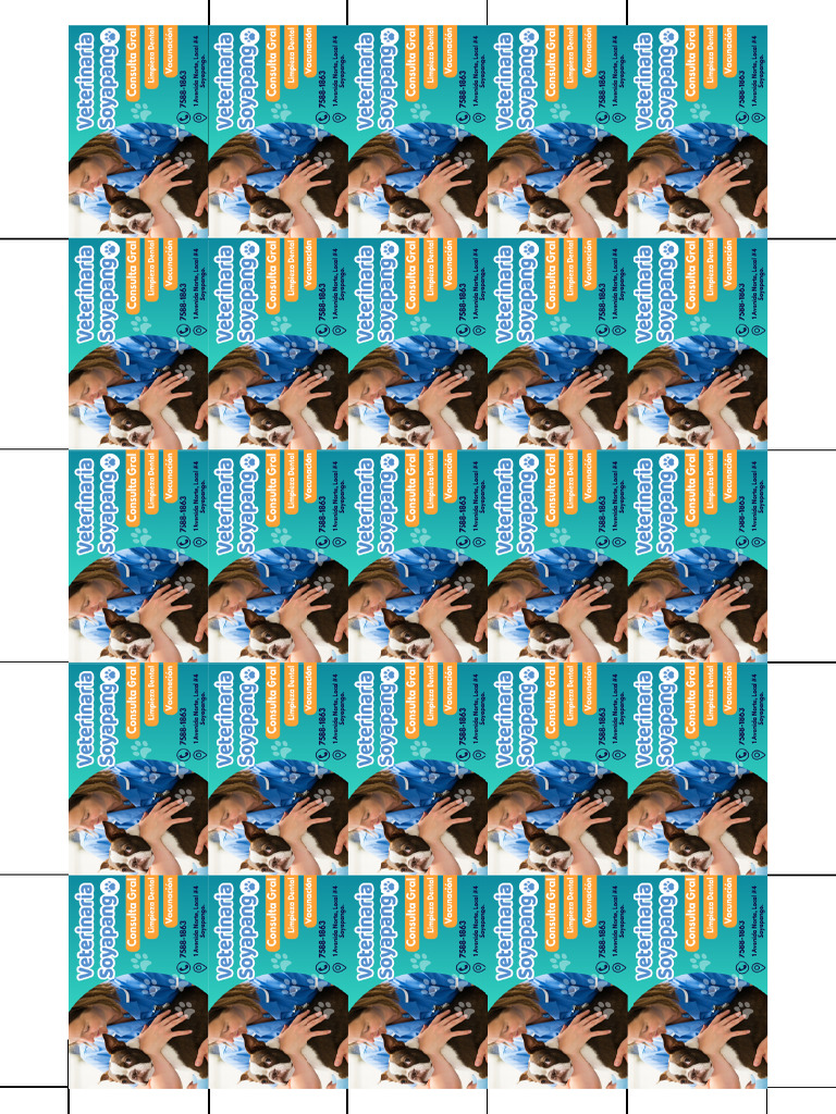 Tabloide Tarjeta 2.0 | PDF