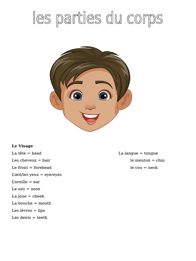 Vocabulaire des Parties du Corps | PDF