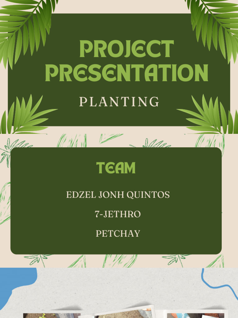 Green Tropical Leaves Project Presentation - 20241125 - 210946 - 0000 | PDF