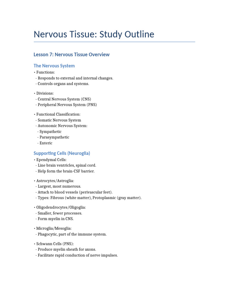 Nervous Tissue Study Outline | PDF