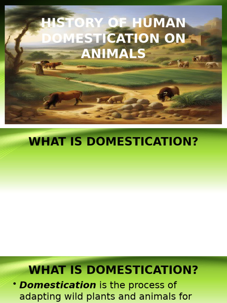 History of Animal Domestication | PDF | Domestication | Domesticated ...