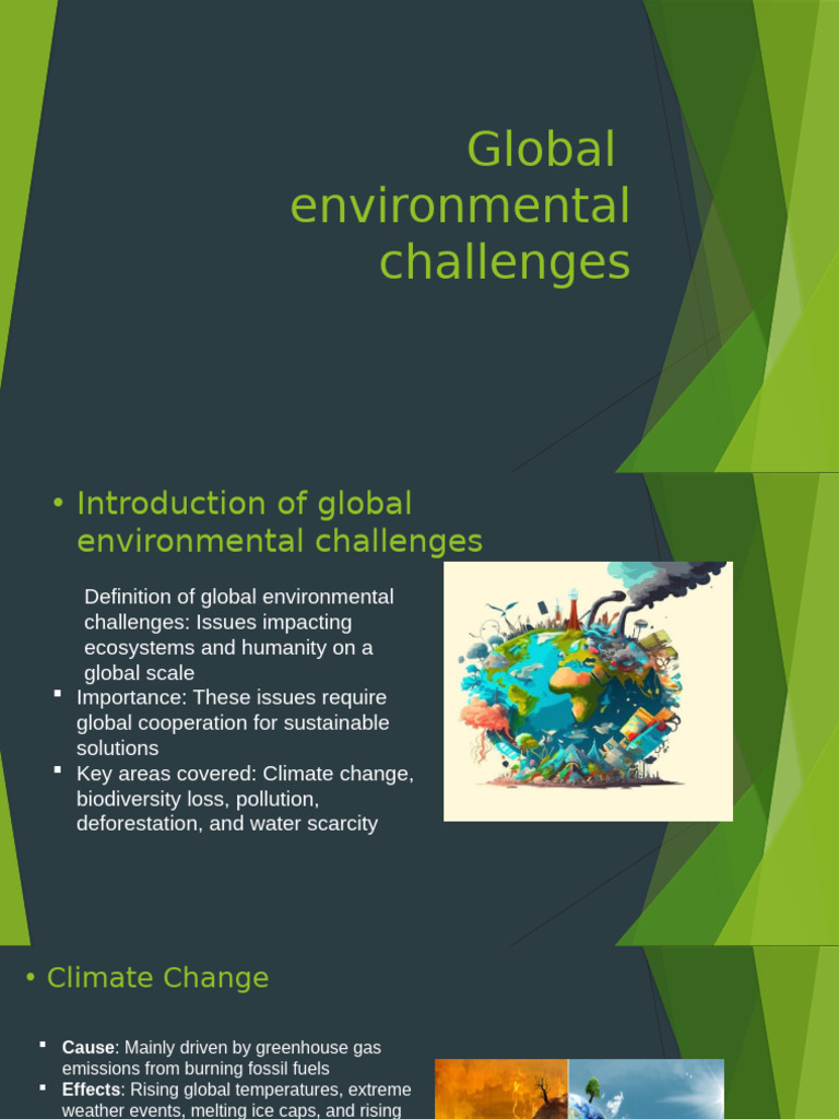 Global Environmental Challenges | PDF | Climate Change | Pollution