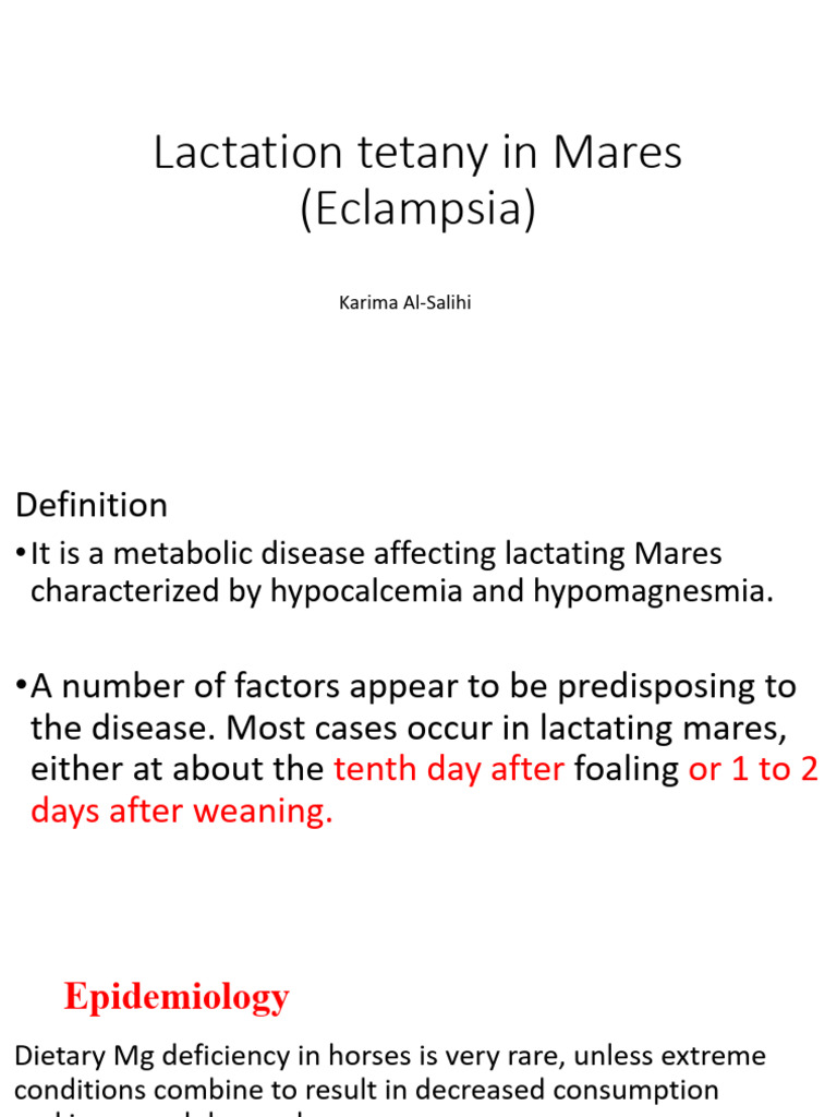 5 Lactation Tetany in Mares | PDF