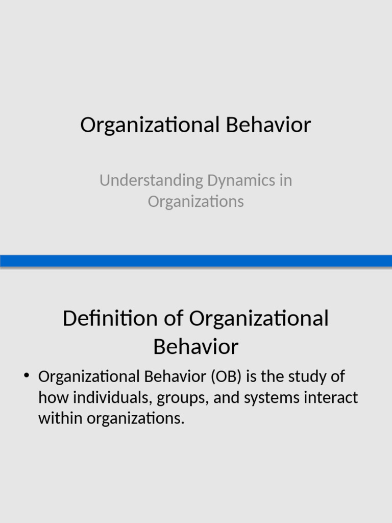 Organizational Behavior 11 Slides Designed | PDF