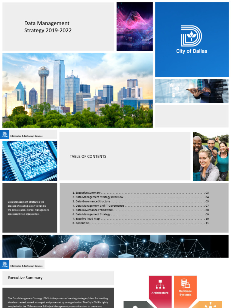 Data Management Strategy | PDF | Governance | Data Quality