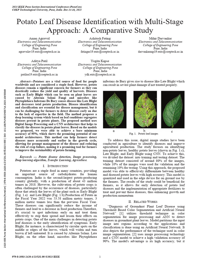 Potato Leaf Disease Identification With Multi-Stage Approach A ...