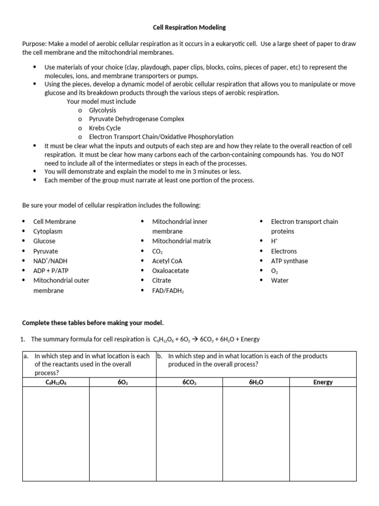 Cell Respiration Modeling 2020 | PDF | Cellular Respiration | Adenosine ...
