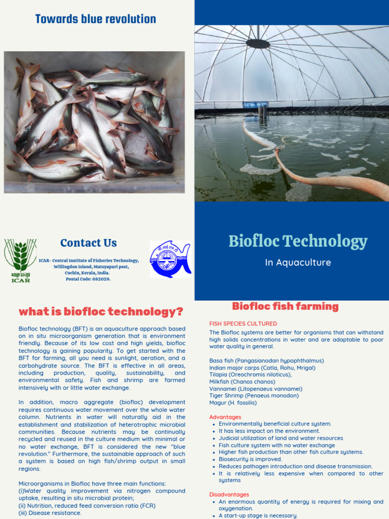 Biofloc Technology | PDF | Aquaculture | Microorganism