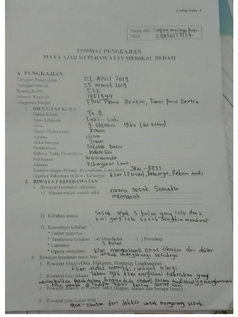 Safira - Efusi Pleura | PDF