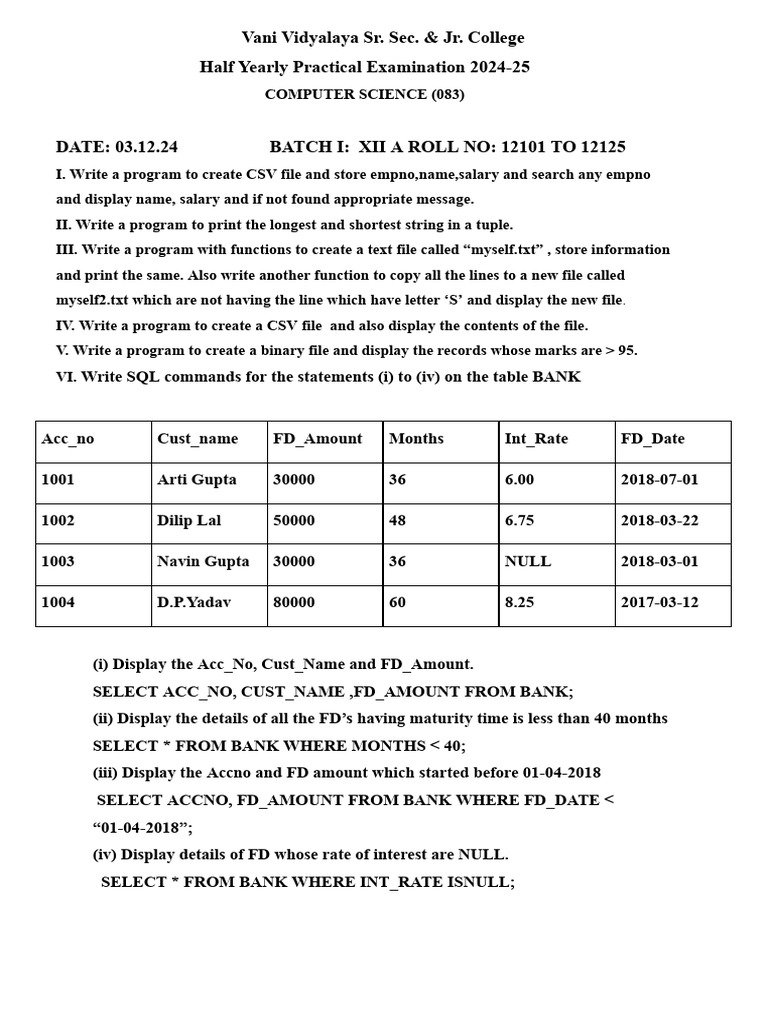 Batch I CS Practical 24-25 | PDF