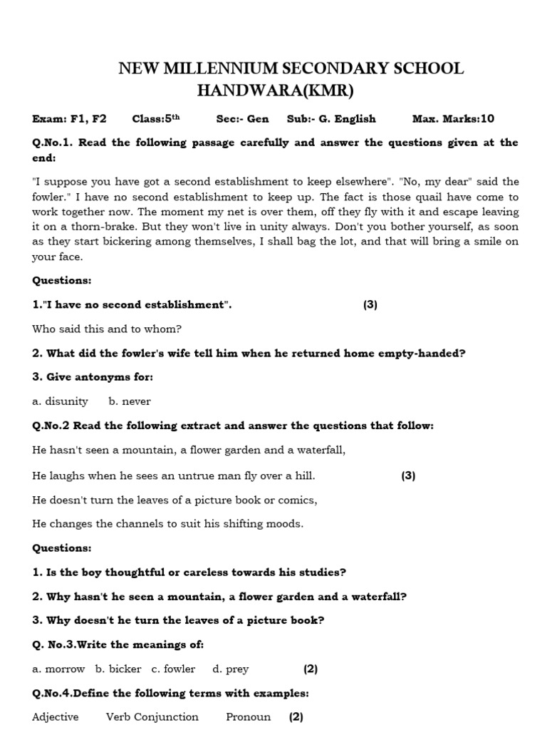 5TH Class Paper New Melenium Sec School | PDF