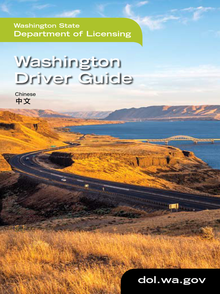 Driverguide Chinese | PDF