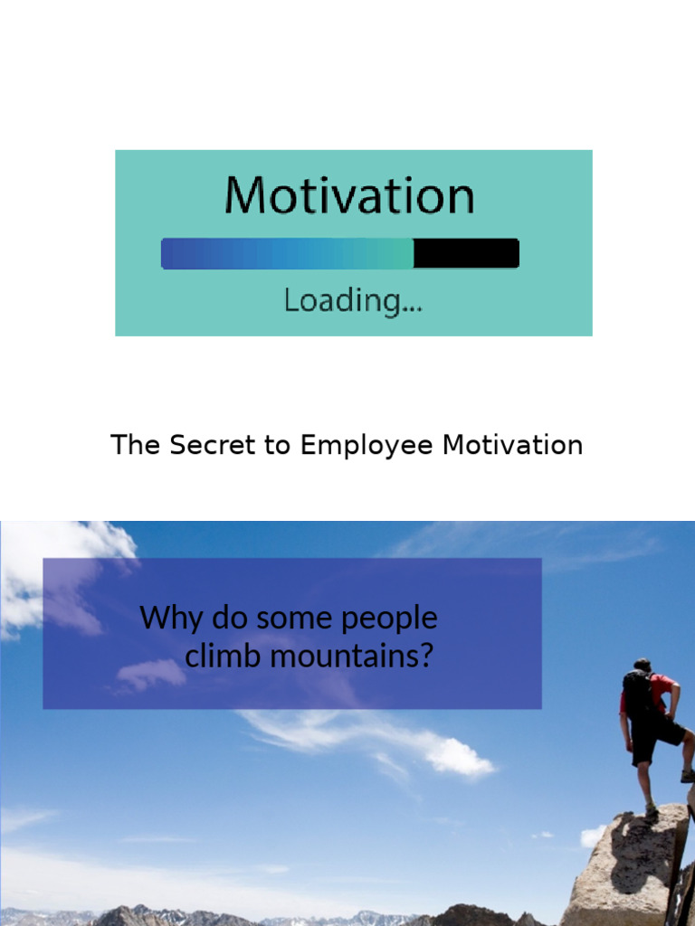 Employee Motivation | PDF | Motivational | Motivation