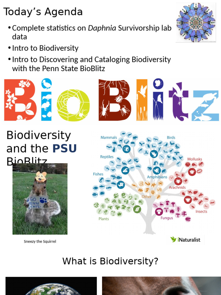 Biodiversity Exploration and BioBlitz Guide | PDF | Biodiversity ...
