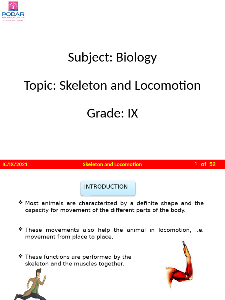 IX Bio Skeleton | PDF | Vertebral Column | Bone