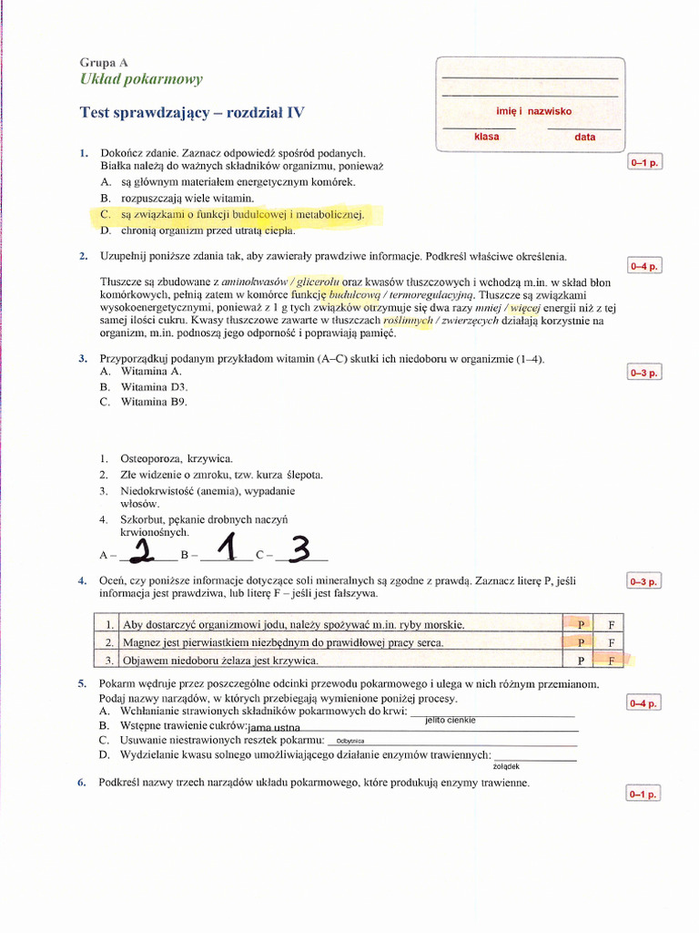 Biologia Układ Pokarmowy Klasa 7 | PDF