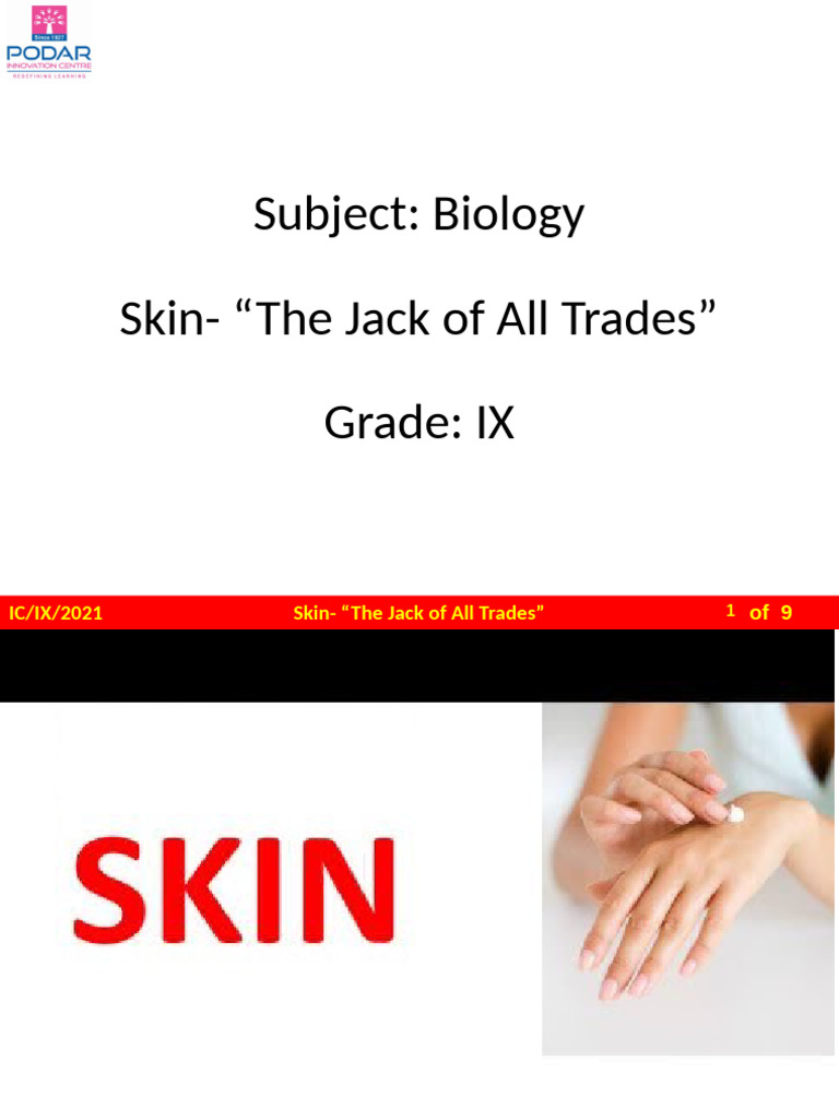 IX Bio Epidermis | PDF | Epidermis | Skin
