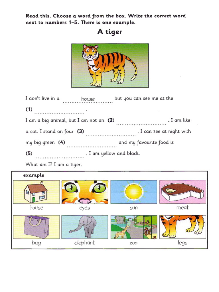 Reading Part 4 | PDF