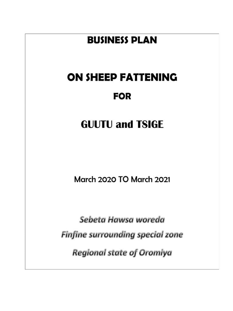 Busin Plan Guutu and Tsige | PDF | Livestock | Meat