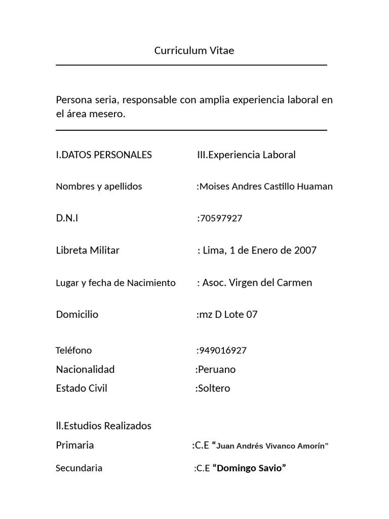 Curriculum Vitae Moises Andres Castillo Huaman | PDF