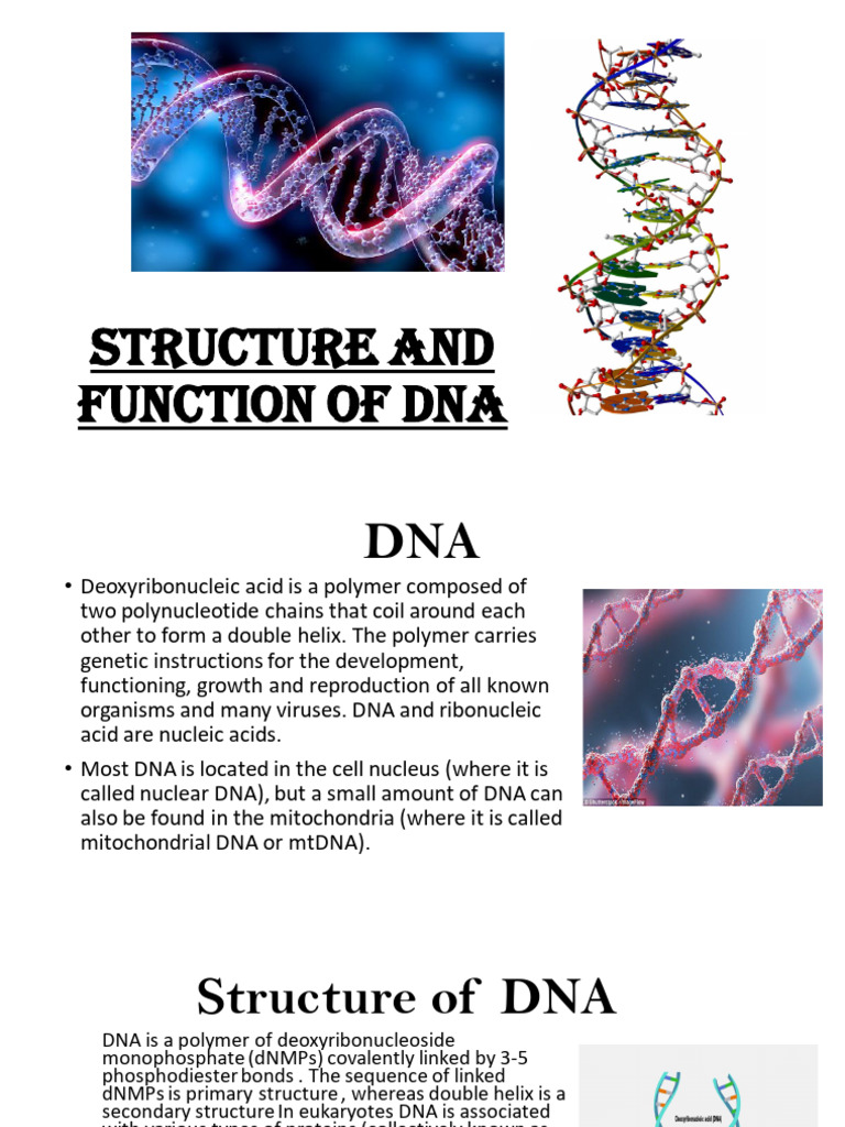 Biochemistry Presentation | PDF | Dna | Dna Replication