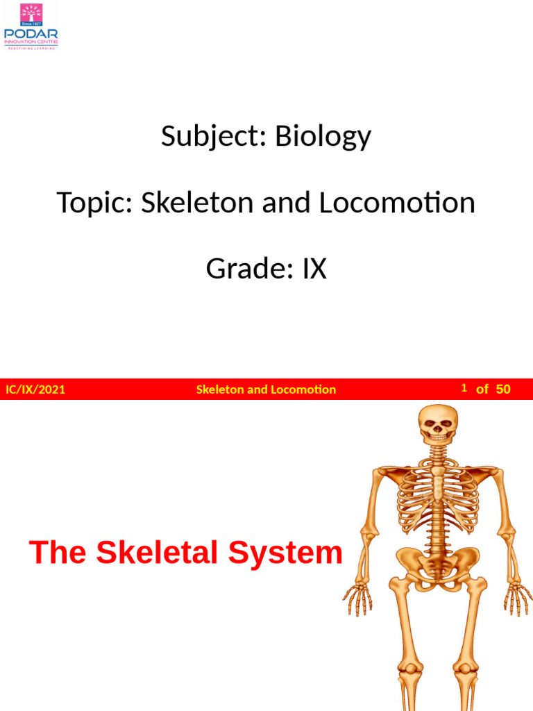 IX - Bio - Movement and Locomotion | PDF | Foot | Pelvis