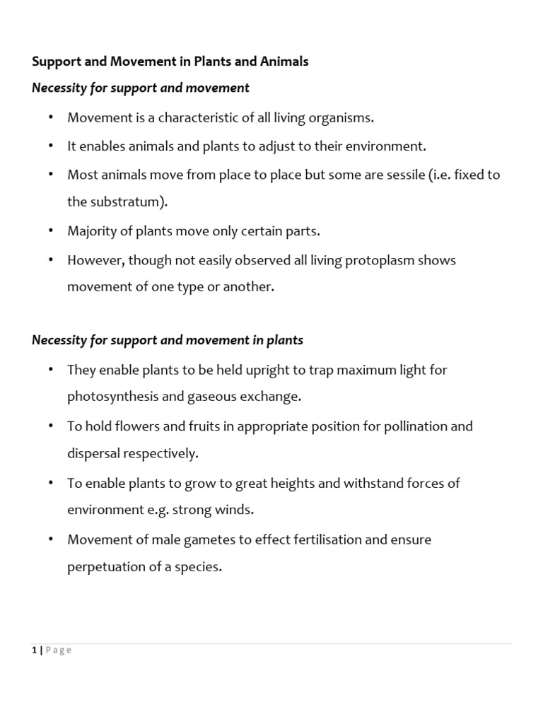 17support and Movement in Plants and Animals | PDF | Vertebra ...