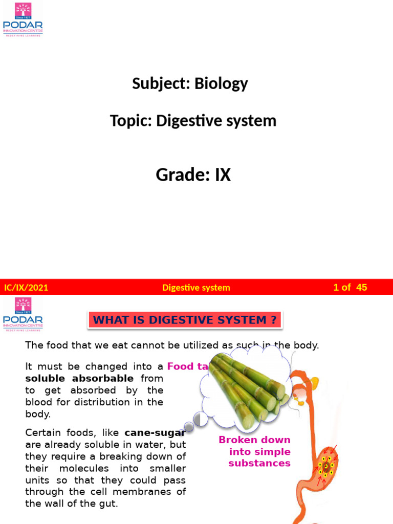 ICSE - IX - Bio - Digestive System | PDF | Digestion | Stomach