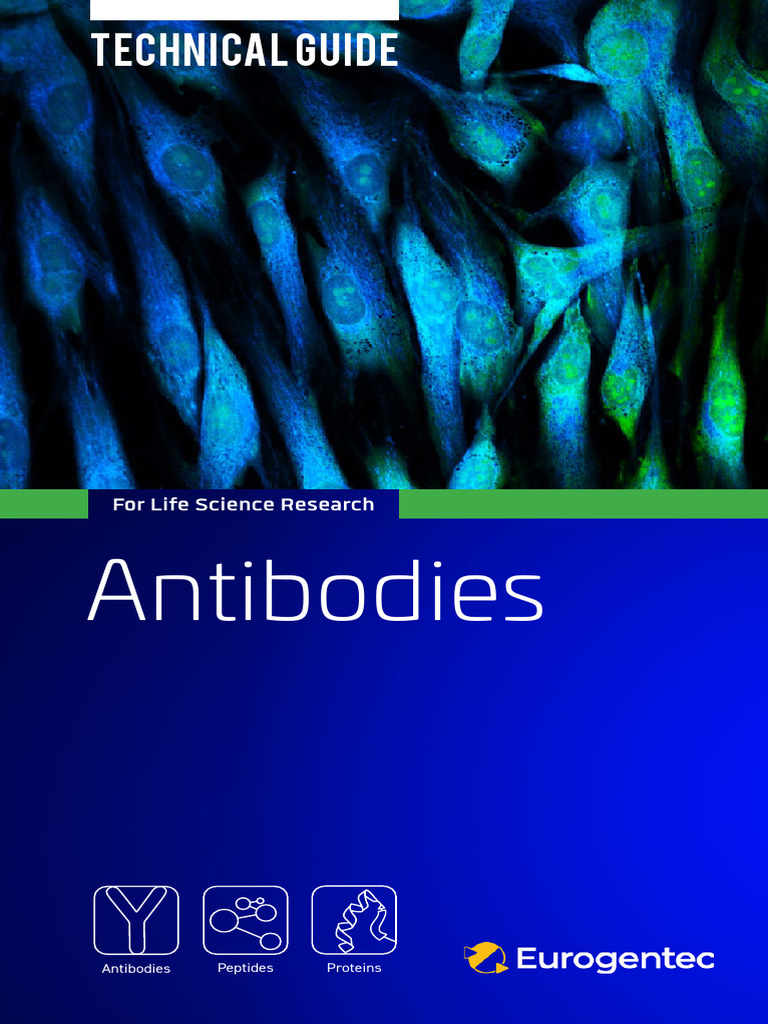 Antibody Production Technical Guide | PDF | Antibody | Immunoglobulin G