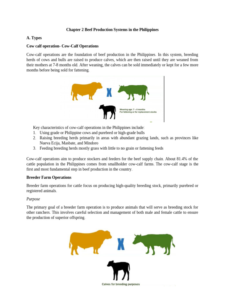 Chapter 2 Beef Production Systems in The Philippines | PDF | Cattle ...