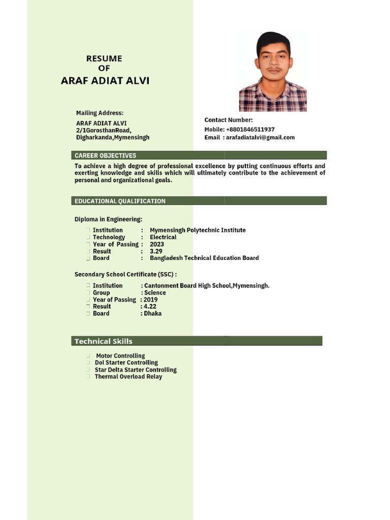 Alvi CV | PDF