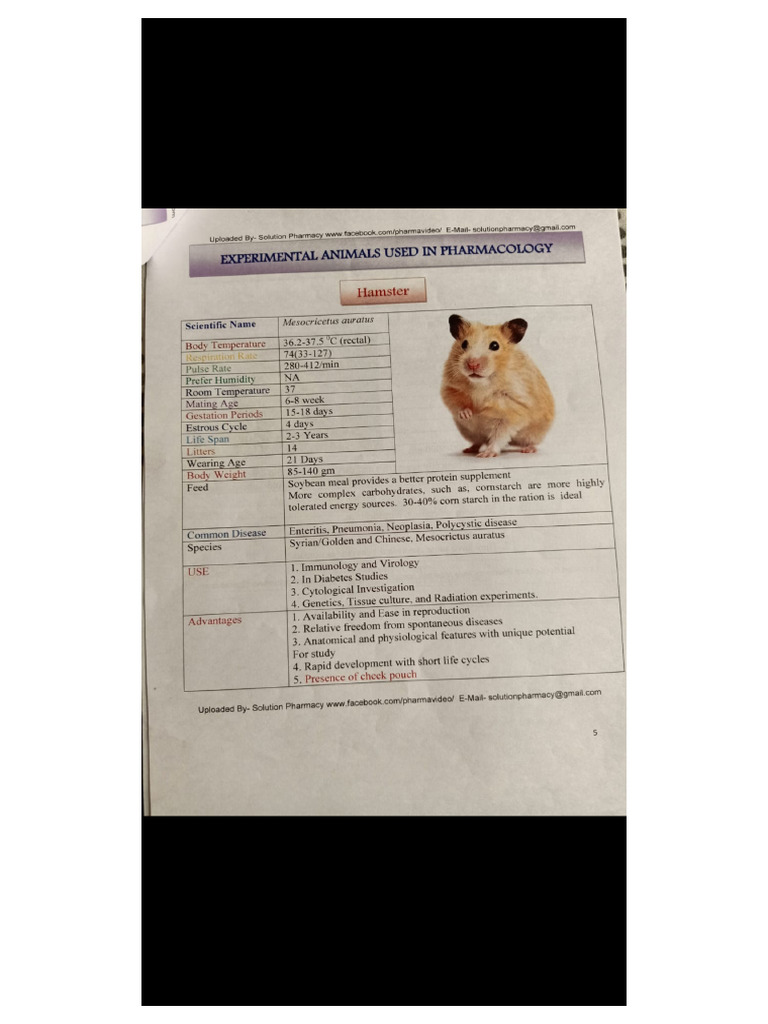 2.experimental Animals Pharmacology | PDF