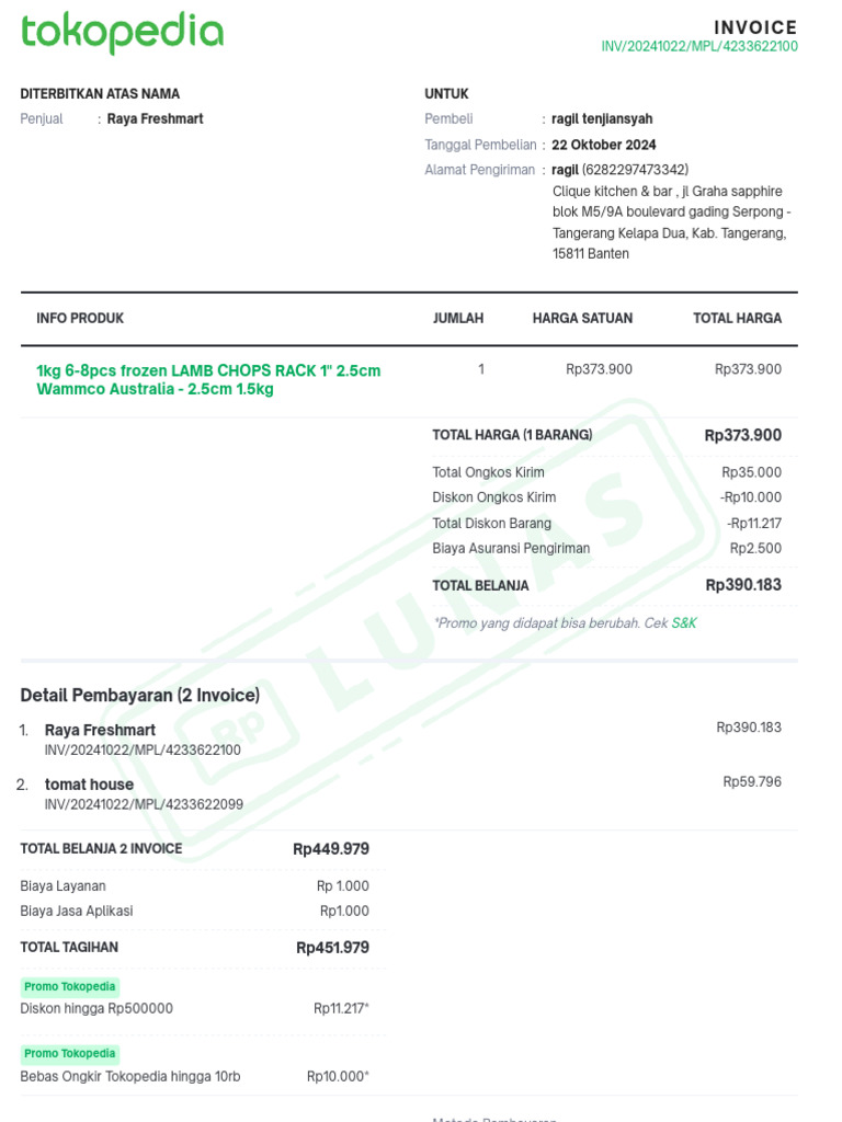 Invoice 1976596169 | PDF