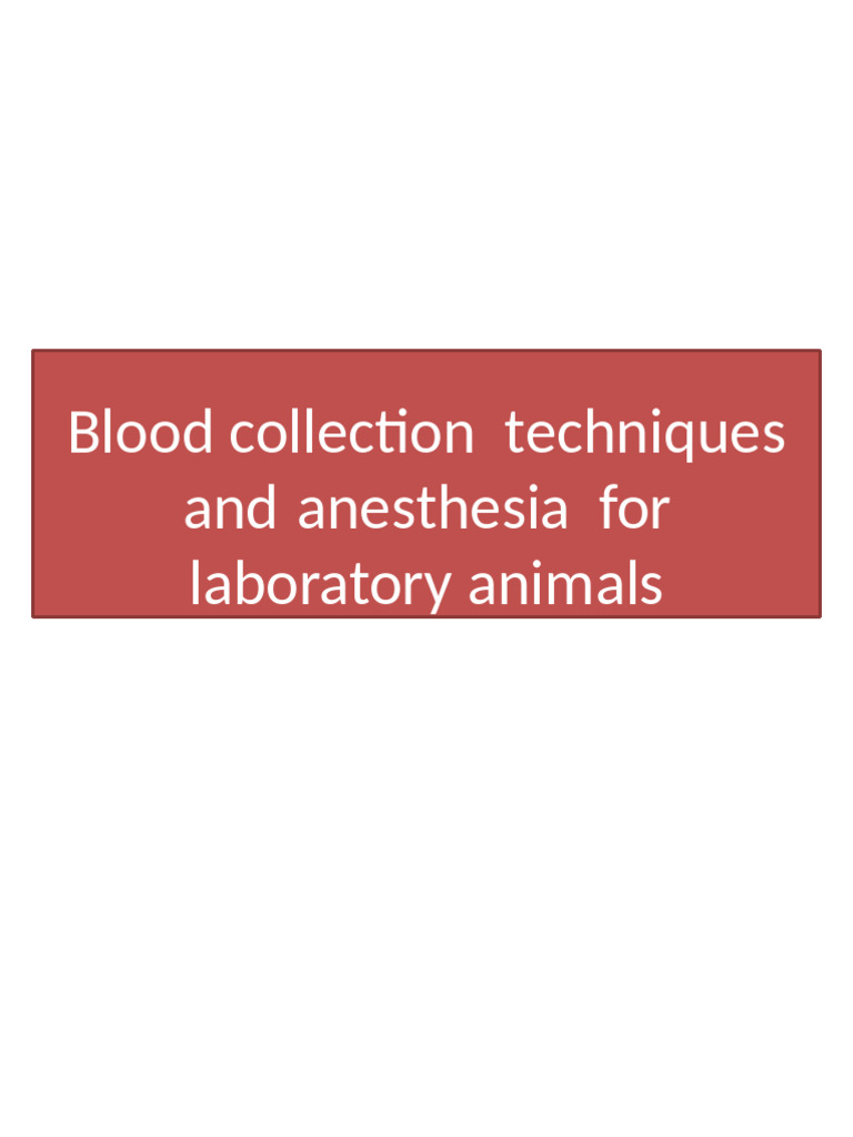 Lab Animal Blood Collection Guide | PDF | Anesthesia | Vein