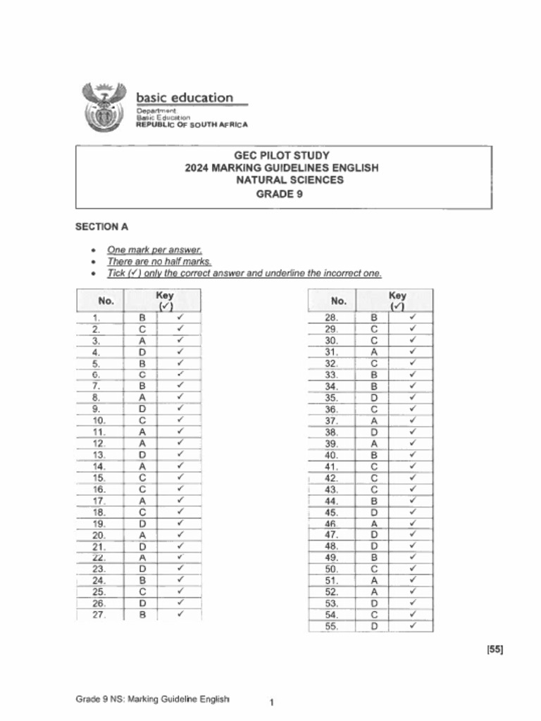 Natural Sciences Eng GR 9 | PDF