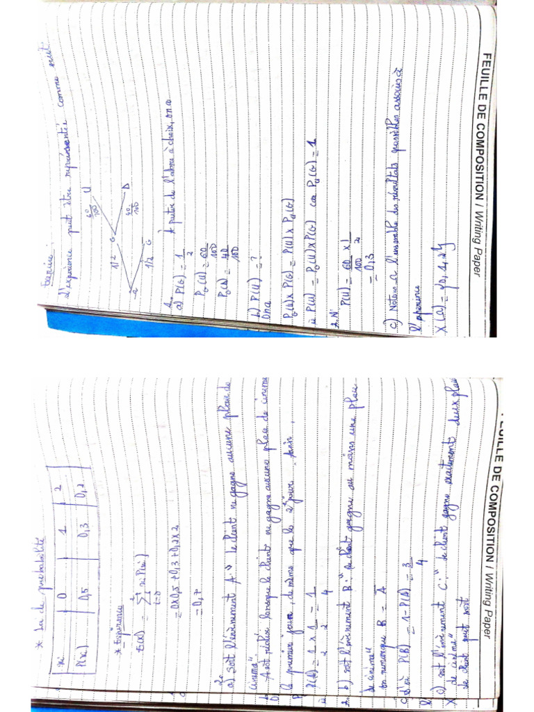 ACE Scanner - 2024 - 11 - 26 | PDF