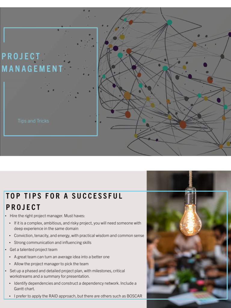 Essential Project Management Tips | PDF | Risk | Project Management