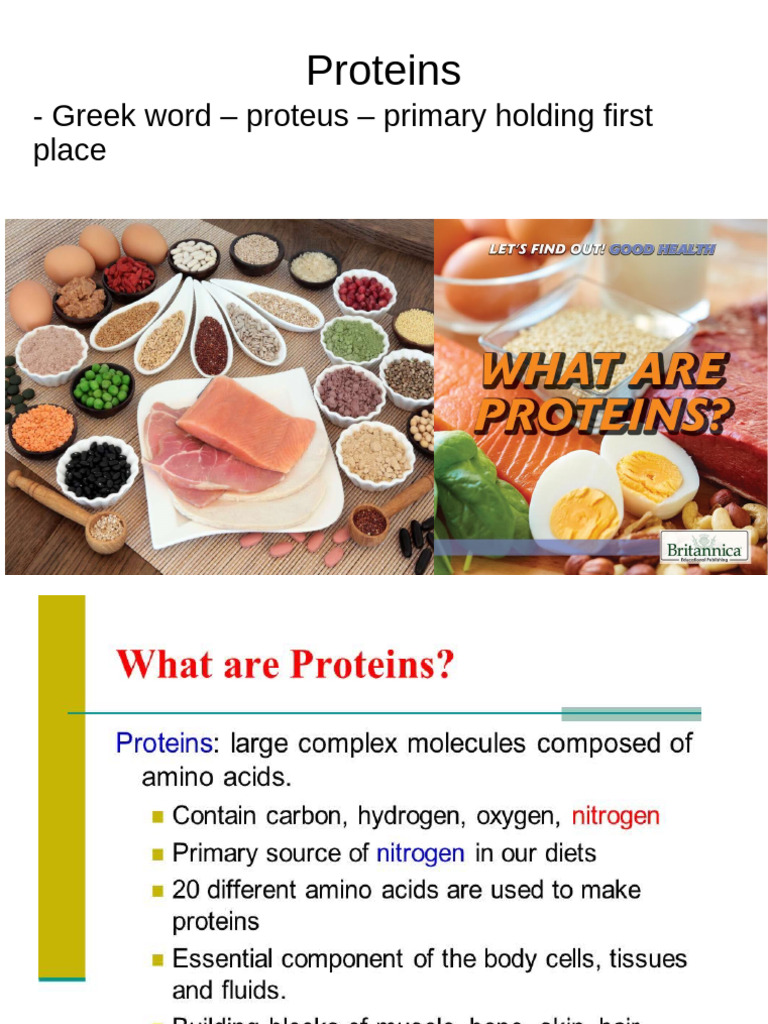 Understanding Protein Structure And Functions Pdf