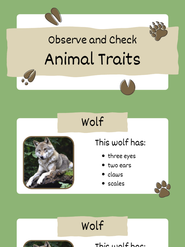 Describing Animals | PDF