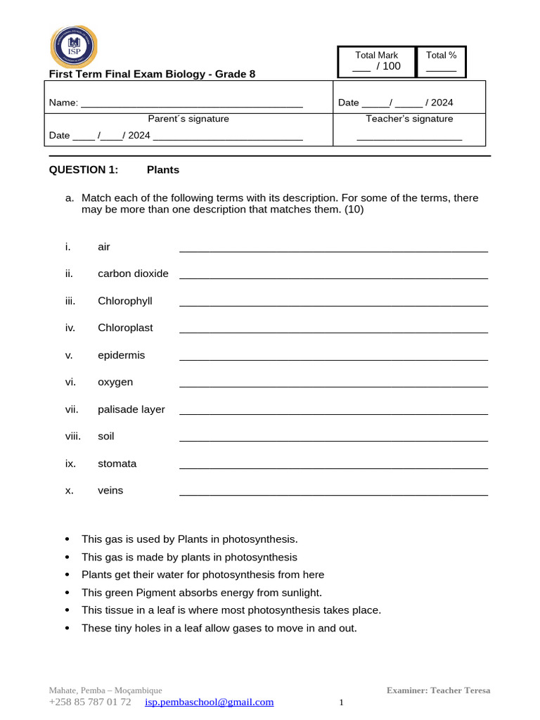 Grade 8 Biology Exam Paper | PDF | Leaf | Photosynthesis