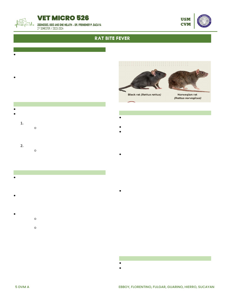 Rat Bite Fever | PDF | Medical Specialties | Microbiology