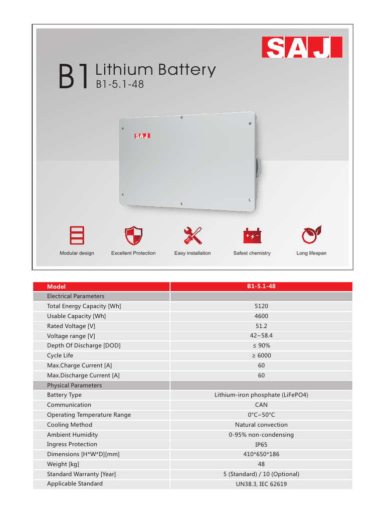 B1 Lithium Battery 20210703022519344 | PDF
